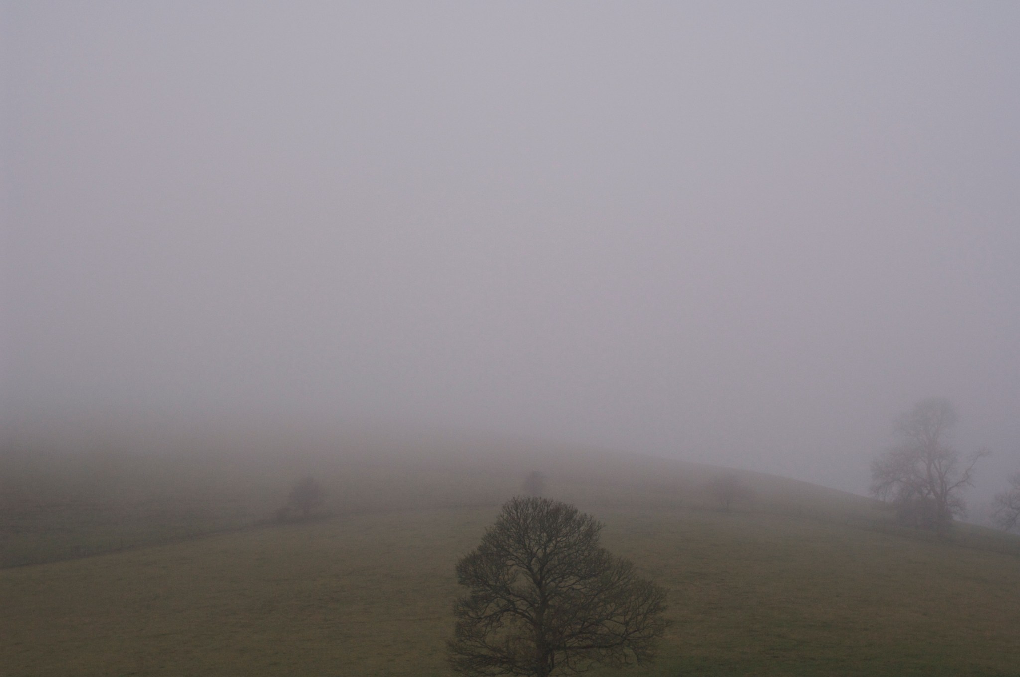 Saving Our Planet Is Our Responsibility – graham peebles