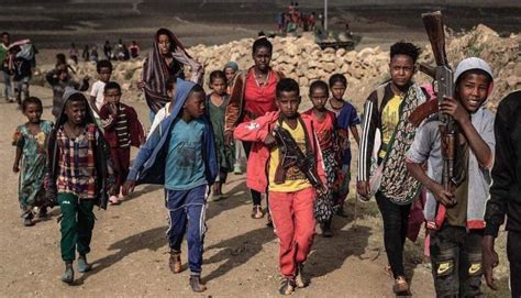 Renewed TPLF Terror War Against the Ethiopian People – graham peebles